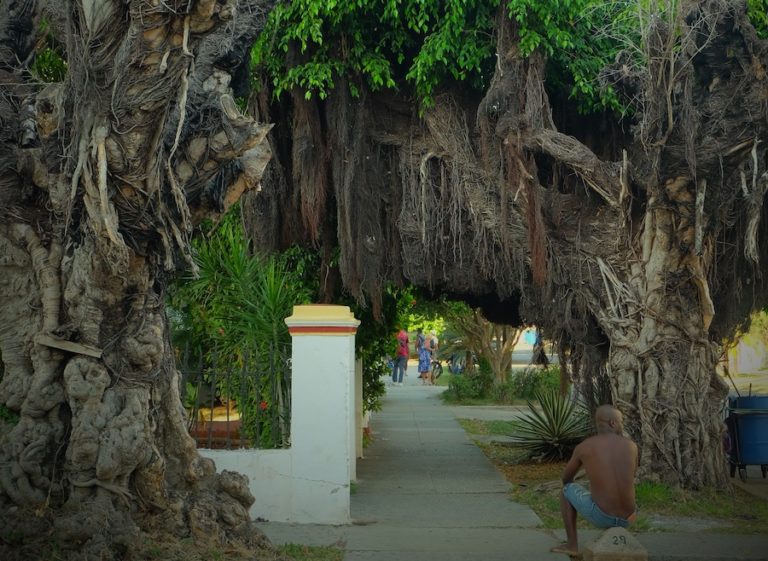 30 Najlepszych Atrakcji Przyrodniczych Na Kubie 🇨🇺 Hola Cuba
